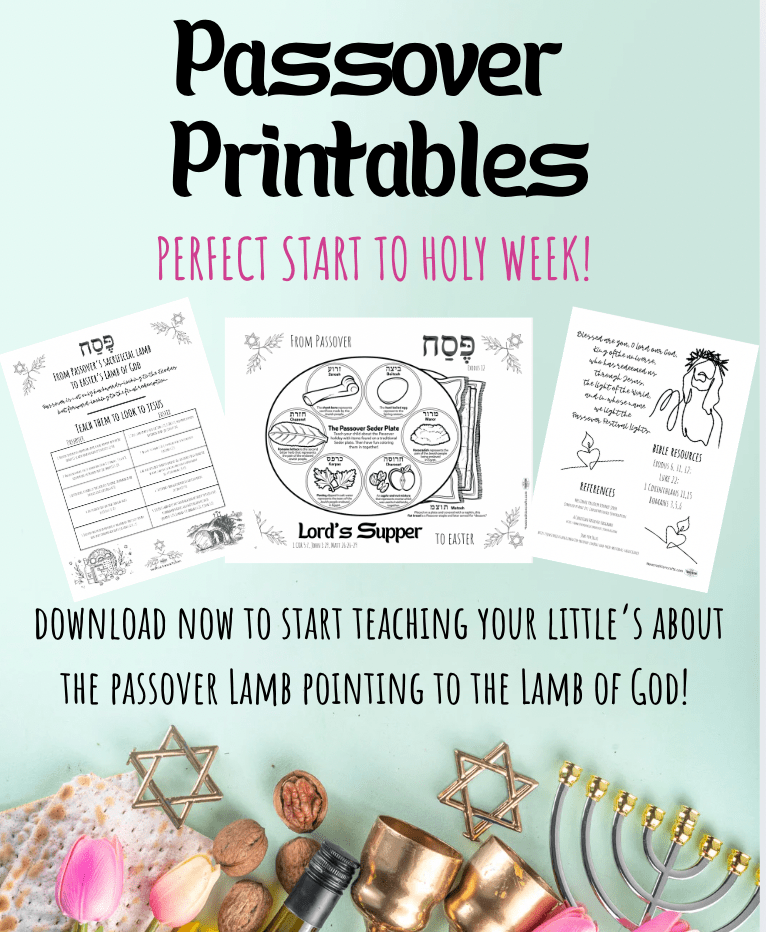 Passover Seder Printable Set – New Tradition Crafts